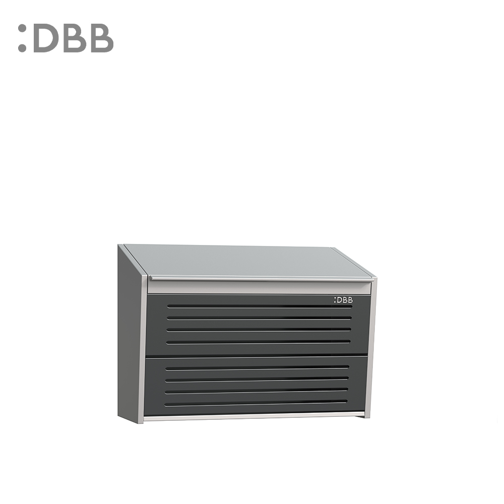 New Year, New Starting Point —— DBB has officially started! - DiBiBi Garden